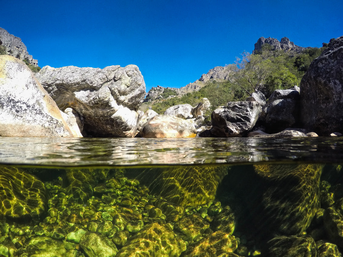 What are the best GoPro 11 Black dome cases in 2023? — GDome